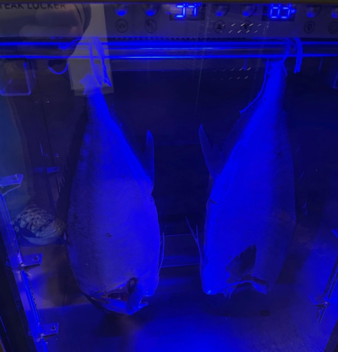 Dry Aged Fish Recipe & Tips